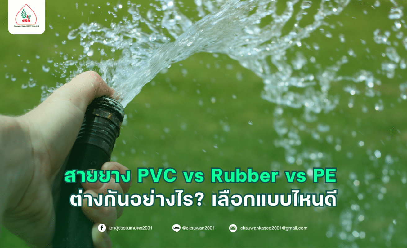 สายยาง PVC vs Rubber vs PE ต่างกันอย่างไร? เลือกแบบไหนดี